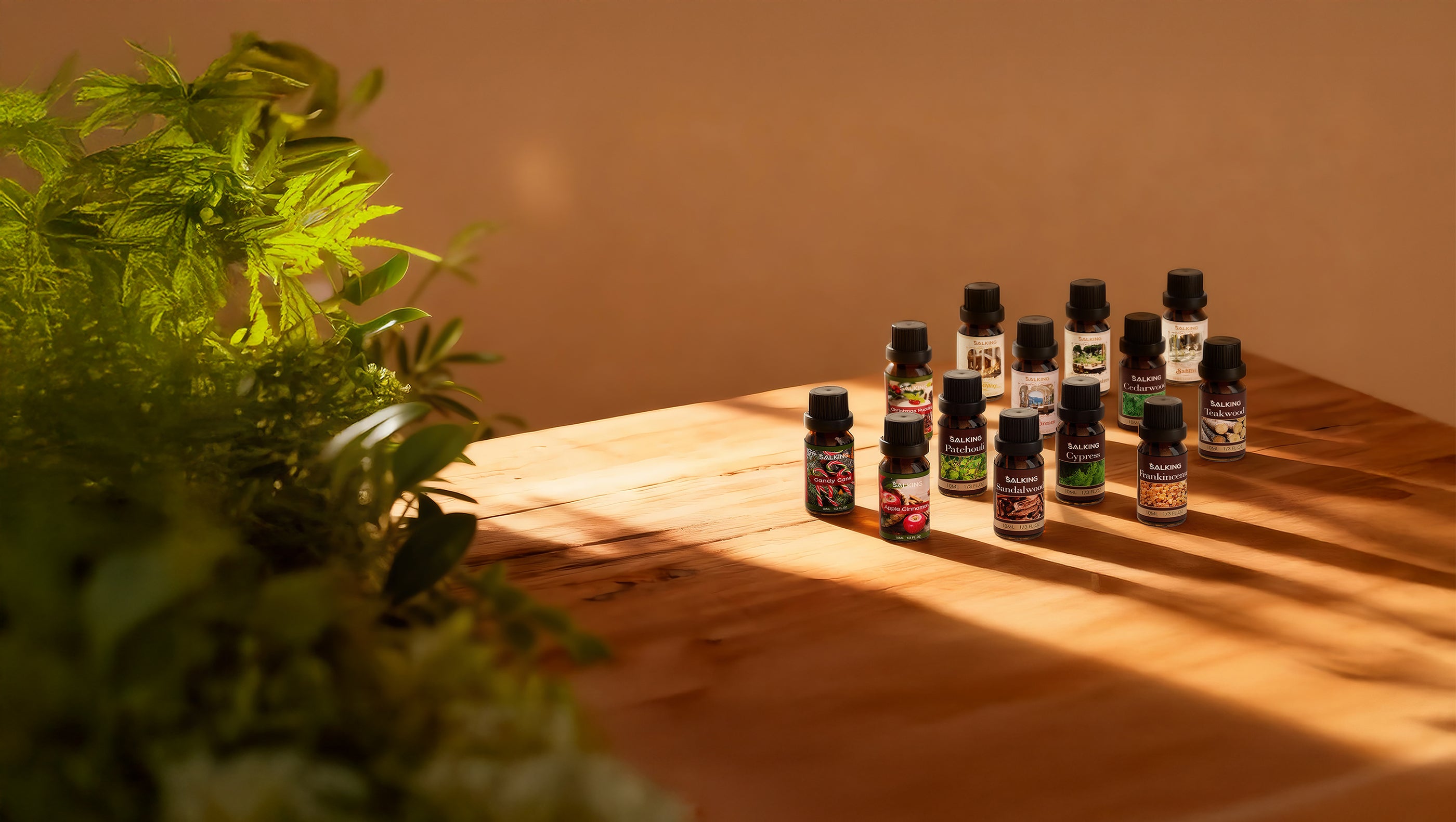 Diffuser Essential Oils & Aroma Diffusers Online | SALKING